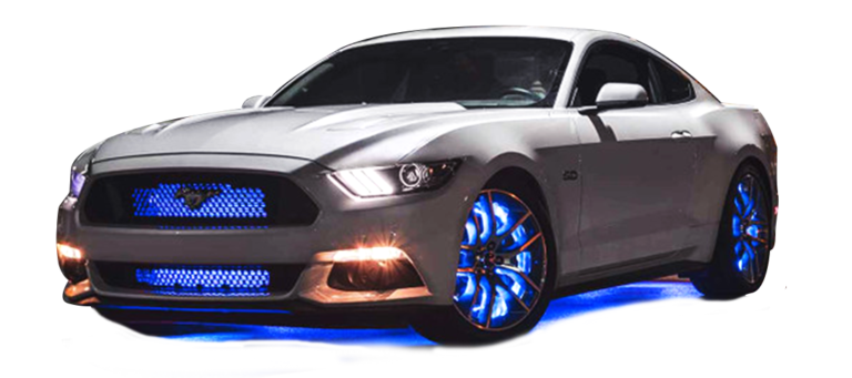 PFM Performance Auto Group